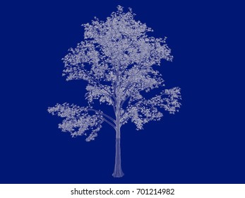 3d Rendering Outlined Tree Blueprint Isolated Stock Illustration ...