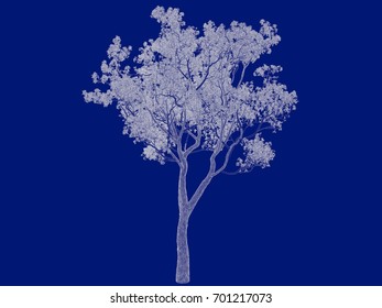 5,560 Trees Blueprint Images, Stock Photos & Vectors | Shutterstock