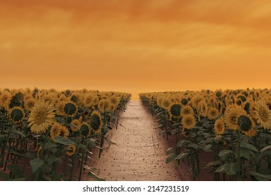 3d Rendering Pathway Middle Blooming Sunflower Stock Illustration ...