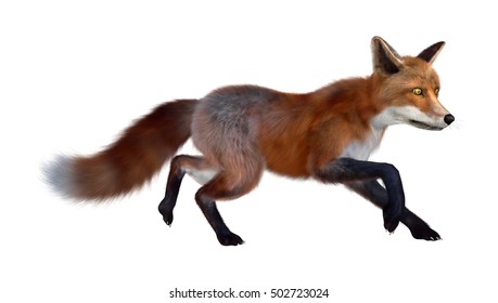 3,516 Fox 3d Stock Illustrations, Images & Vectors | Shutterstock