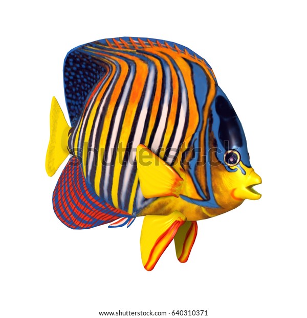 3d Rendering Royal Angelfish Isolated On Stock Illustration 640310371 ...