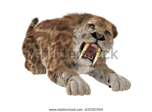 3d Rendering Saber Tooth Tiger Isolated Stock Illustration 633181964