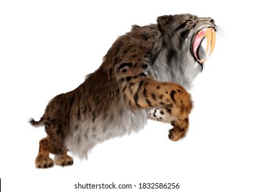 3d Rendering Sabertooth Tiger Isolated On Stock Illustration 1832586256 ...