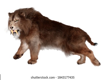 3d Rendering Sabertooth Tiger Isolated On Stock Illustration 1843177435 ...