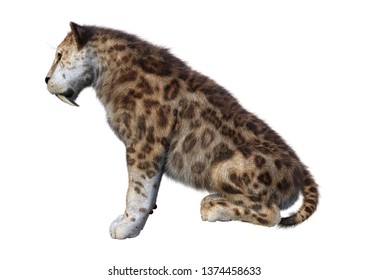 Watercolor Lynx Wild Cat Animal Silhouette Stock Illustration 471405680