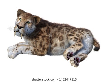 3d Rendering Sabertooth Tiger On White Stock Illustration 1432447115 ...
