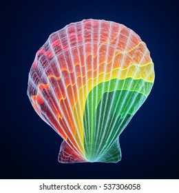72 Disco scallop Images, Stock Photos & Vectors | Shutterstock
