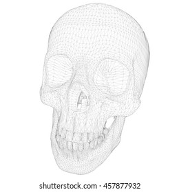 3d Rendering Skull Wireframe Side Angle Stock Illustration 457877929 ...