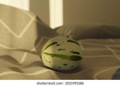Snowball melon : 75 images, photos et images vectorielles de stock ...
