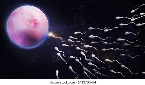 3d Rendering Sperm Egg Cell Science Stock Illustration 1413700784 ...