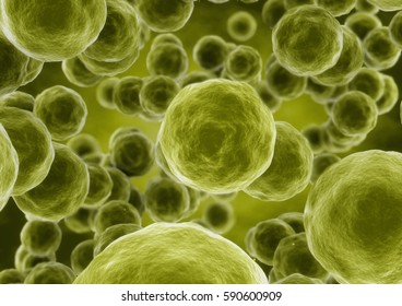 3d Rendering Sphere Bacteria Cells Closeup Stock Illustration 590600909 ...