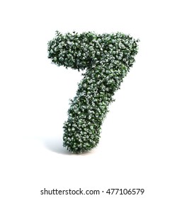 3d Rendering Star Jasmine Alphabet Stock Illustration 478802689 ...