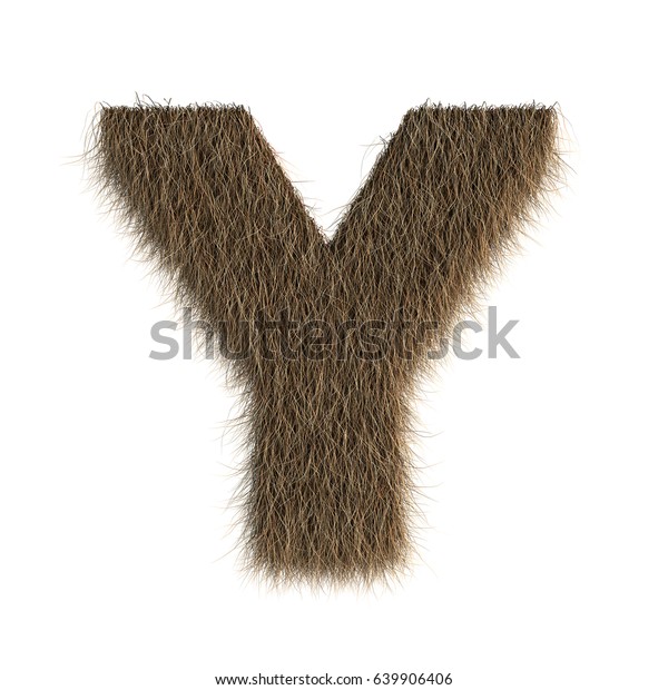 3d Rendering Straw Alphabet Stock Illustration 639906406 | Shutterstock
