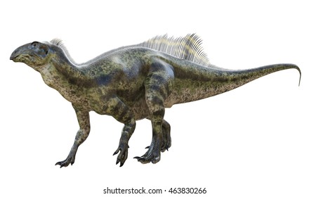 3d Rendering Tenontosaurus Stock Illustration 463830266 | Shutterstock