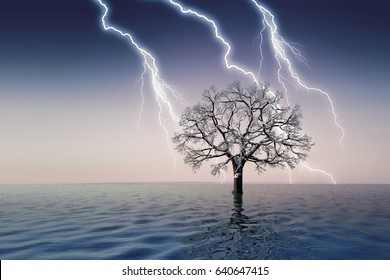 160 Lightning strikes tree Stock Illustrations, Images & Vectors ...