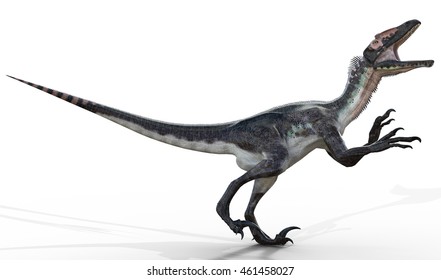 203 Fighting velociraptor Images, Stock Photos & Vectors | Shutterstock