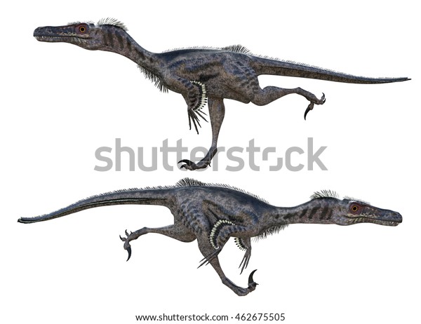 3d Rendering Velociraptor Stock Illustration 462675505