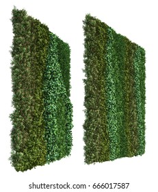 Ground Cover Plants Background Texture 6 Stock Vector (Royalty Free ...