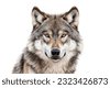 3+ Thousand Wolf Side View Royalty-Free Images, Stock Photos & Pictures ...