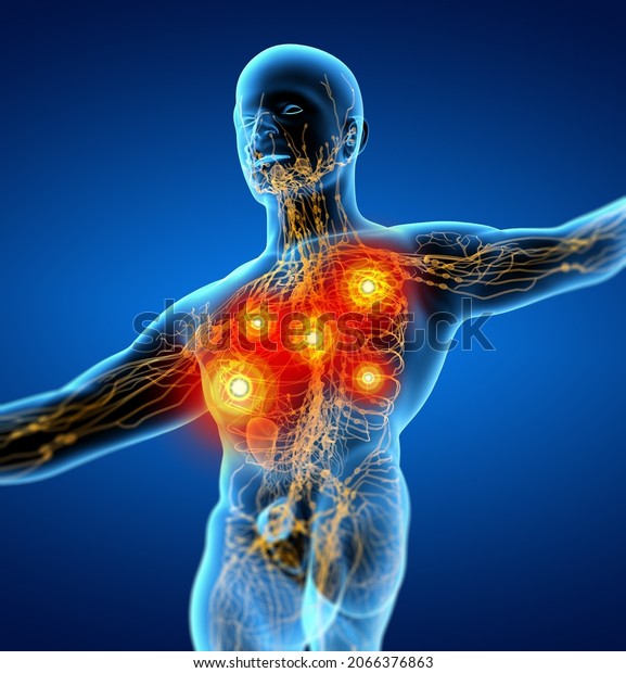 3d Rendering Yellow Lymphatic System Back Stock Illustration 2066376863 ...