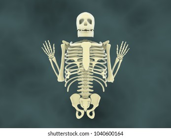 Portrait Surprised Skeleton Standing Over Black Stock Photo 770581336 ...