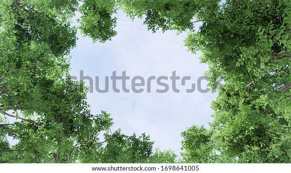 3d Renderingtreetop Canopy Crown Tree Forest Stock Illustration ...