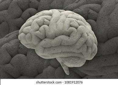 3,762 imágenes de Stone brain - Imágenes, fotos y vectores de stock ...