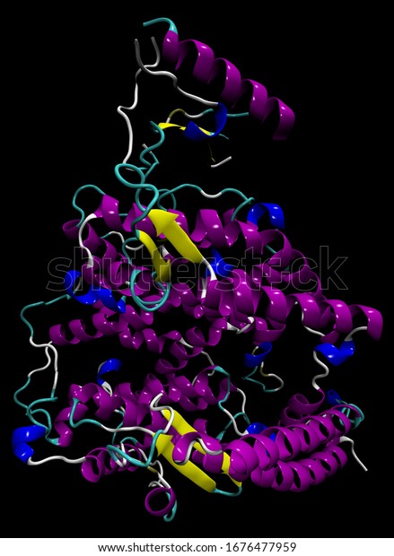 3D-Struktur des menschlichen ACE2-Proteins, der Rezeptor ...