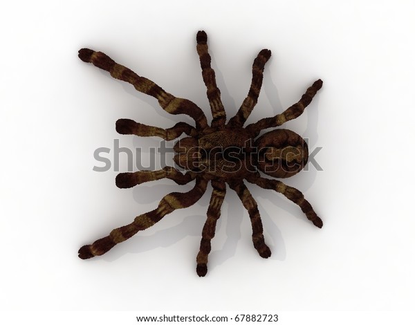 3d Tarantula Stock Illustration 67882723