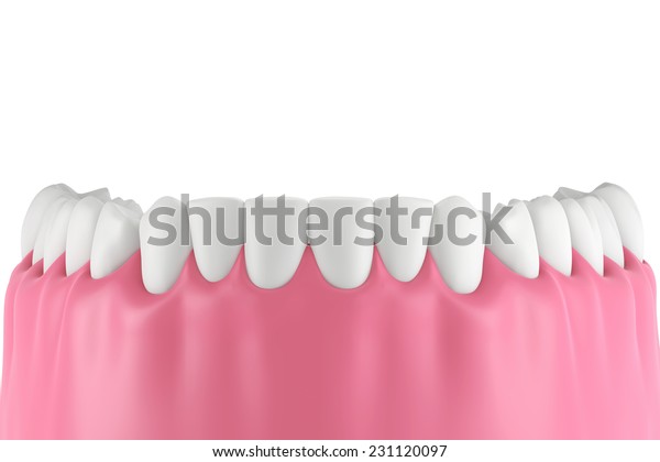 3d Teeth Tooth Illustrationfront View Isolated Stock Illustration ...