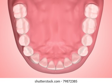 506 Teeth Anatomy Top View Images, Stock Photos & Vectors | Shutterstock