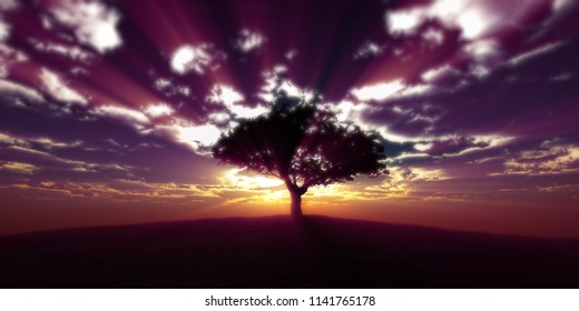 3d Tree Sunset Field Stock Illustration 1141765178 | Shutterstock