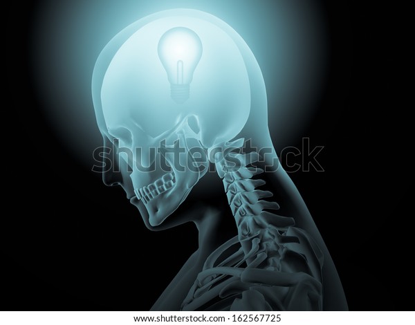 3d Xray Human Head Light Bulb Stock Illustration 162567725 | Shutterstock