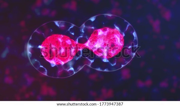 4k Cell Division Cellular Division Under Stock Illustration 1773947387 ...