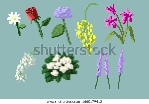 8 Bit Type Flowers On Green 库存插图 1660179412 | Shutterstock