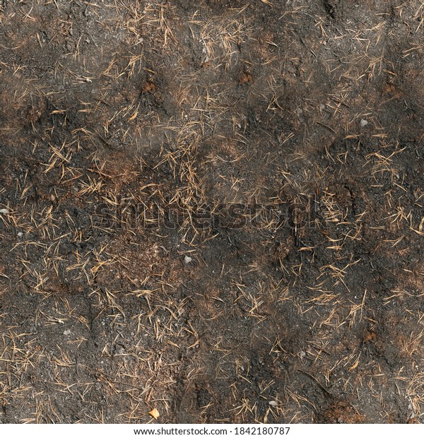 8k Burned Ground Diffuse Albedo Texture Stock Illustration 1842180787 ...