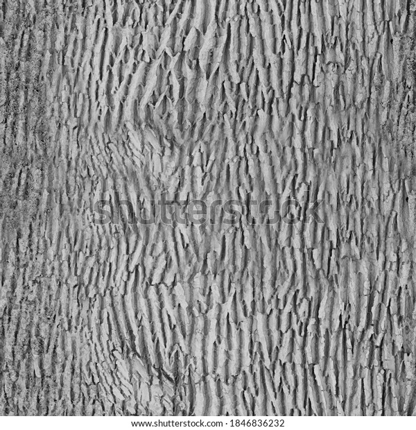8k Tree Bark Roughness Texture Height Stock Illustration 1846836232 ...