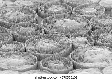 Abstract 3d Rendering Cells Under Microscope Stock Illustration ...