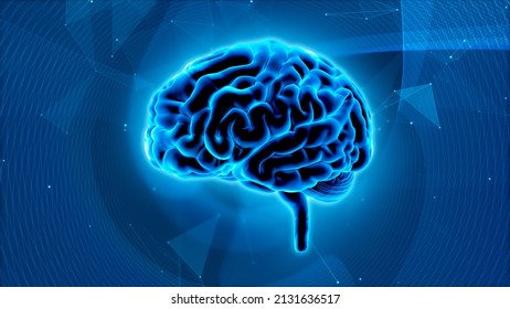 1,475 Brain Activity Signal Images, Stock Photos & Vectors | Shutterstock