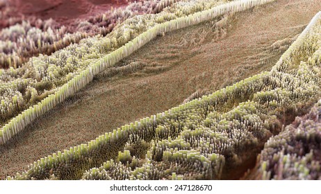 13,536 Material microscope Images, Stock Photos & Vectors | Shutterstock