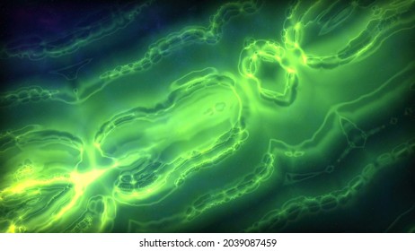 428 Plant cell prophase Images, Stock Photos & Vectors | Shutterstock