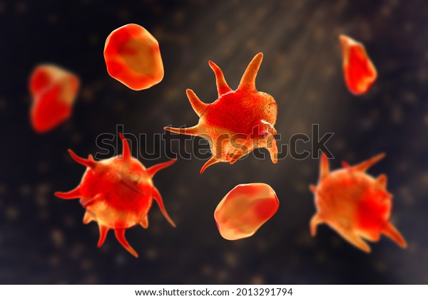 Activated Nonactivated Platelets Thrombocytes 3d Illustration Stock ...