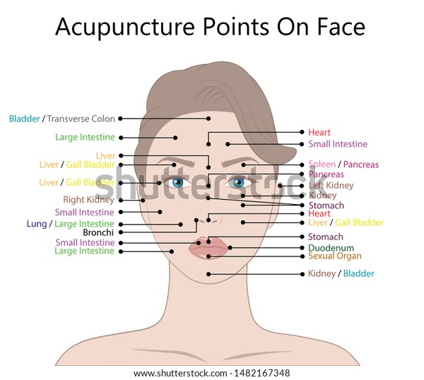 Active Acupuncture Points On Face Illustration Stock Illustration ...