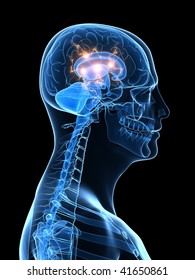 Active Brain Stock Illustration 41650861 | Shutterstock