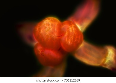 158 Adams apple throat Images, Stock Photos & Vectors | Shutterstock