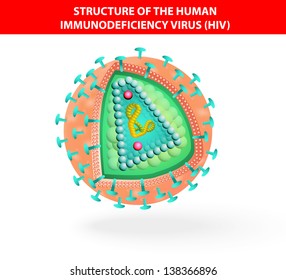 Aids Virus Structure: ilustrações stock 138366896 | Shutterstock