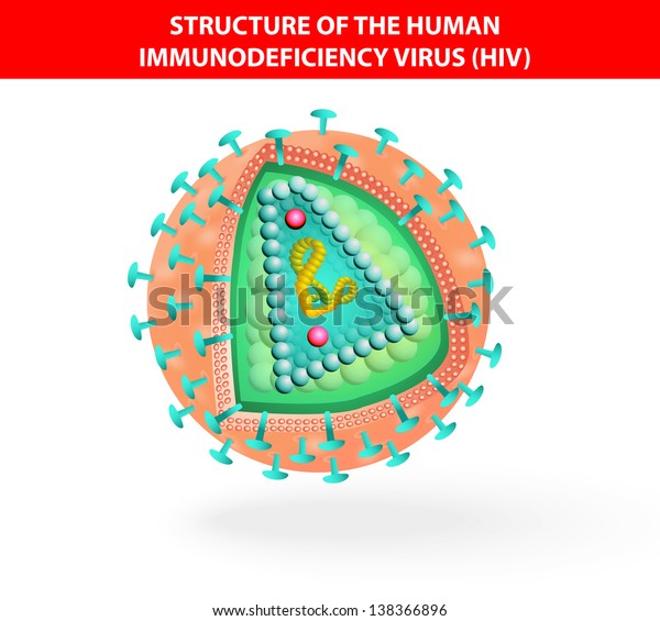 Aids Virus Structure: ilustrações stock 138366896 | Shutterstock