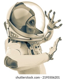 Alien Astronaut Afraid Side View 3d Stock Illustration 2195506201 ...