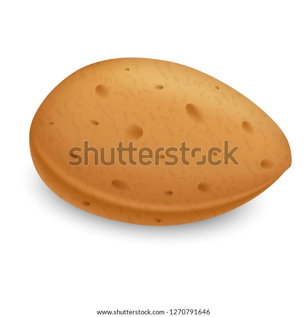 Almond Kernel Shell Icon Realistic Illustration: стоковая иллюстрация ...
