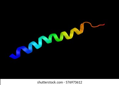 Adra2r Images, Stock Photos & Vectors | Shutterstock